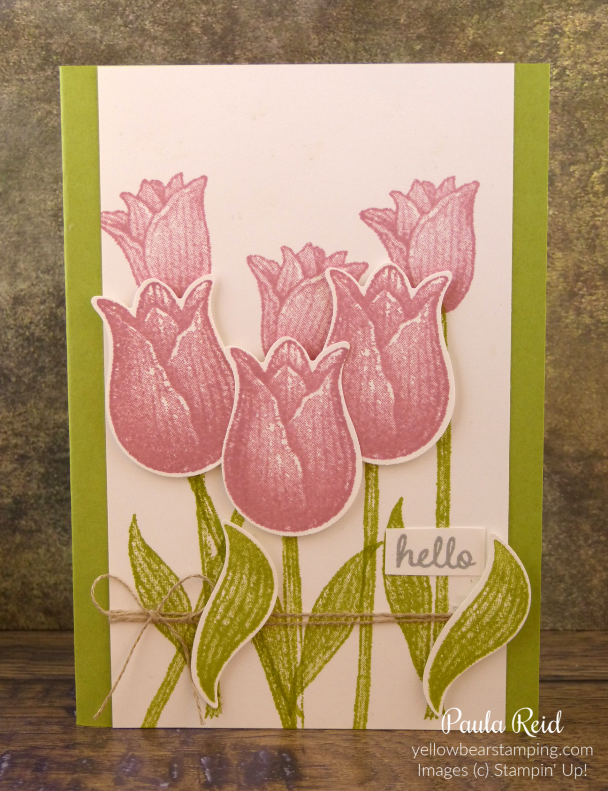 Timeless Tulips – OnStage Sample – Nov 2019 – Standing | Yellow Bear ...