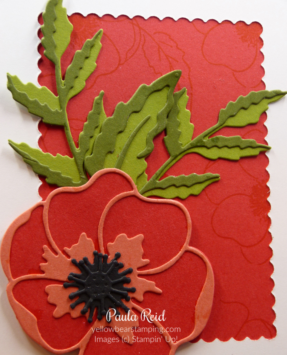 Poppy Moments Die Cut Card | Yellow Bear Stamping Poppy Moments Die Cut Card | Yellow Bear Stamping