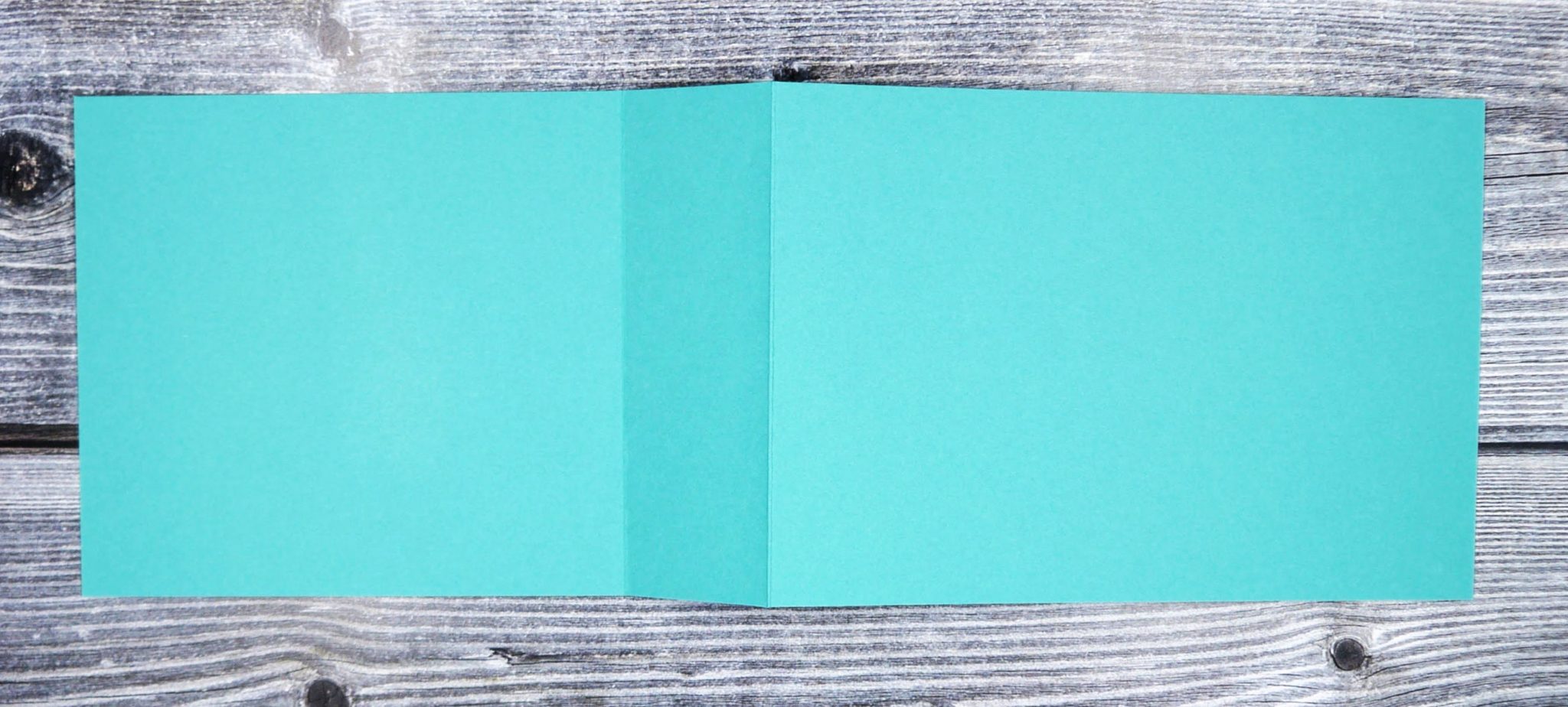 Friday Fun Fold – Book Card | Yellow Bear Stamping