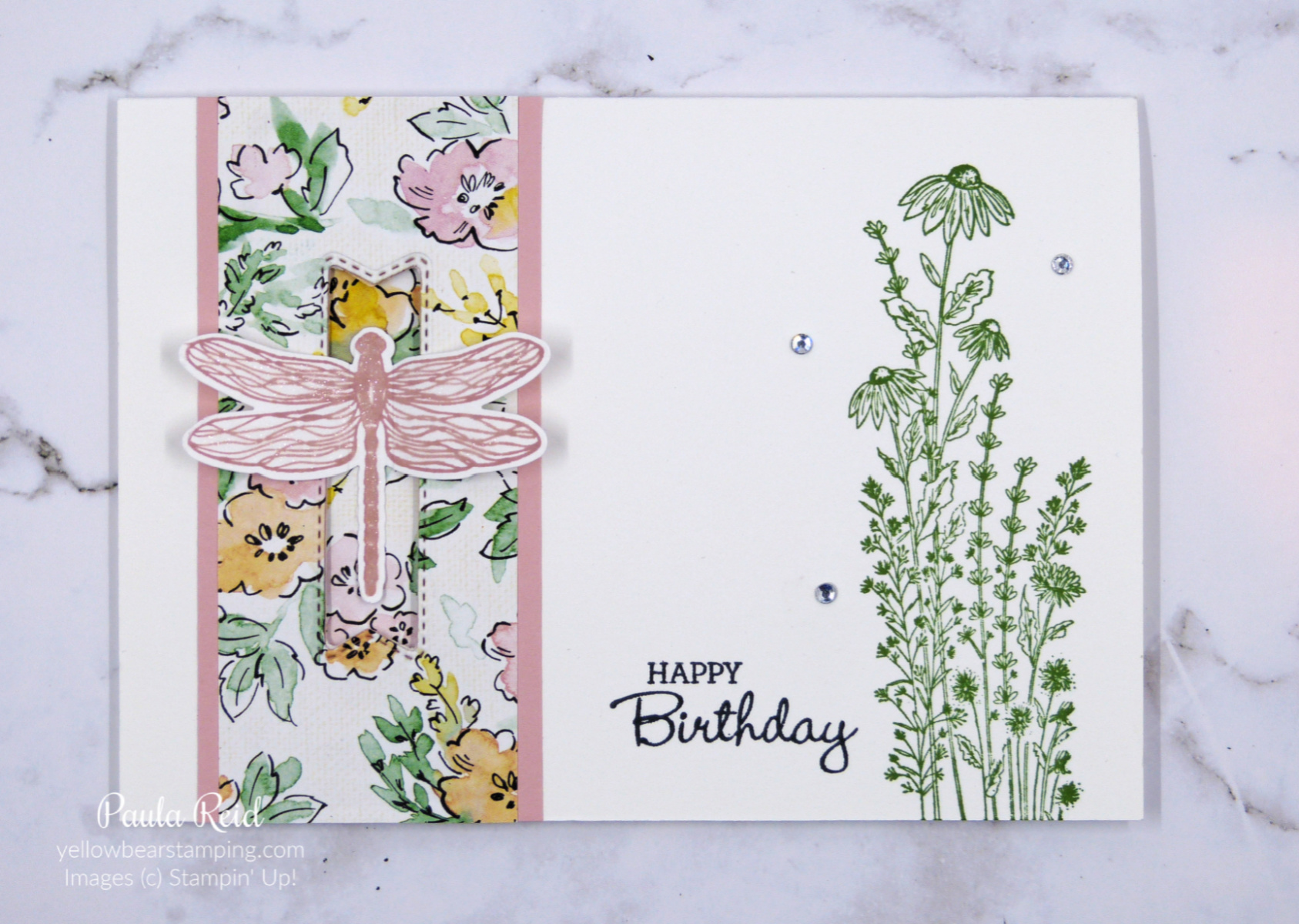 Dragonfly Garden Closure Card Flat Yellow Bear Stamping